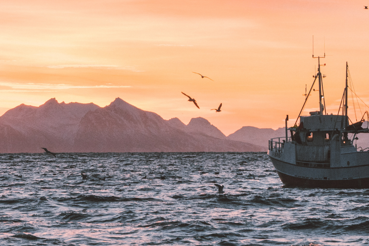 National Fishing Remembrance Day 2024 – Wright Brothers Home Delivery