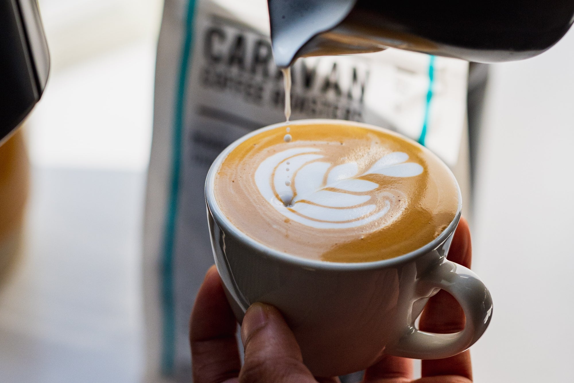 Fresh Coffee - Organic Caravan Coffee Beans - Wright Brothers At Home ...