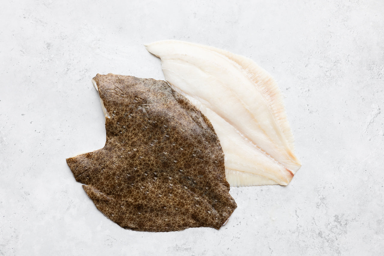Fresh turbot Fillets - Wright Brothers Home Delivery