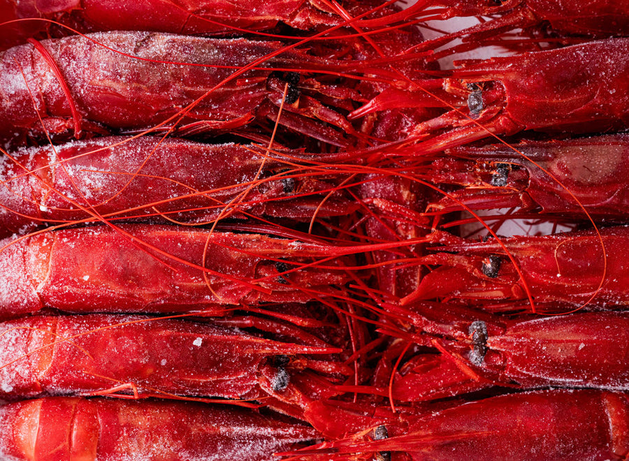 Spanish Carabineros Red Prawns - Fresh Seafood – Wright Brothers Home ...