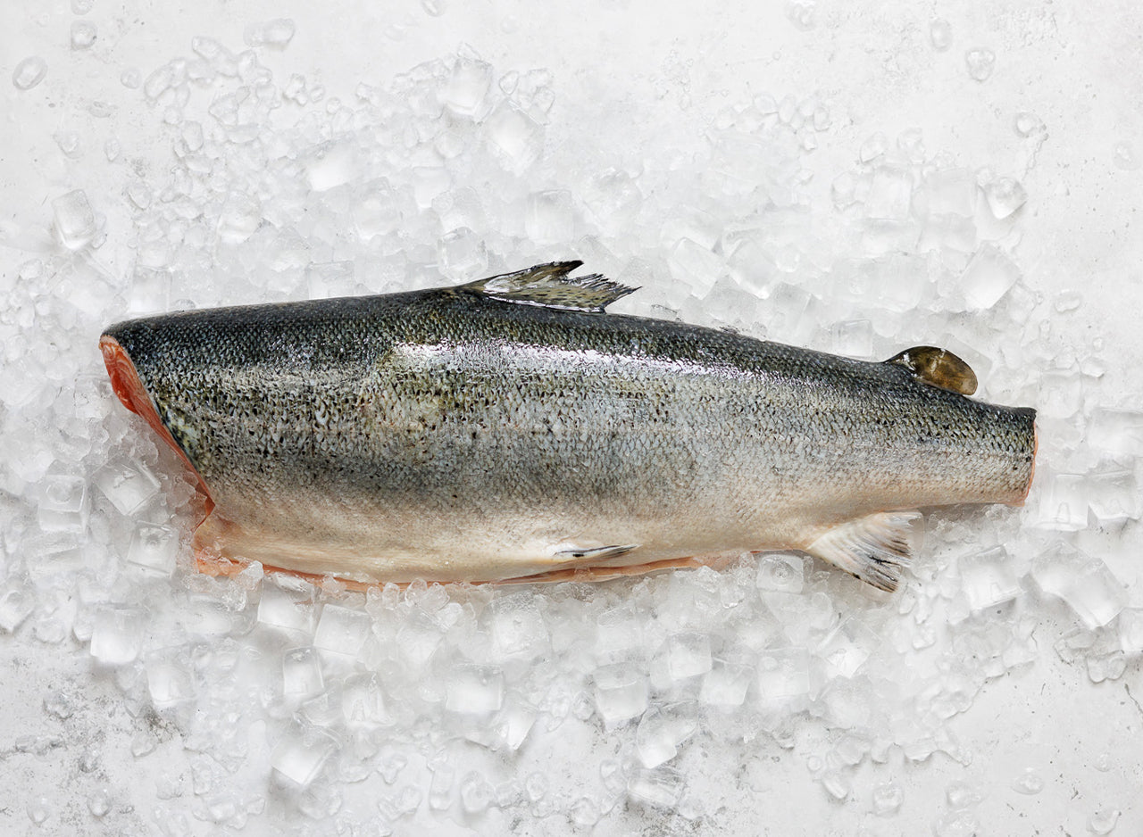 Whole Fresh Salmon - Fresh Fish Online - Wright Brothers Home Delivery