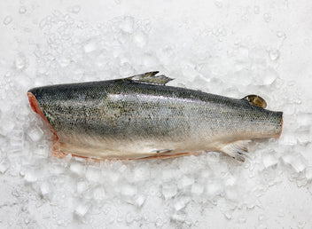 Fresh Fish & Seafood Delivery, Online Fishmonger – Wright Brothers Home ...