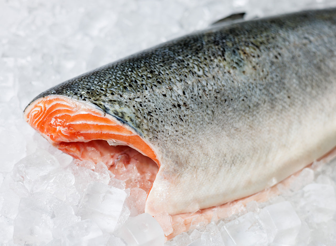 Salmon online store