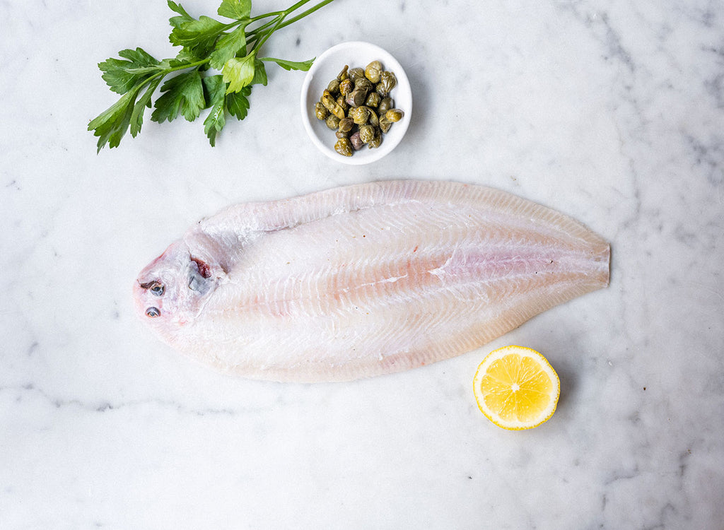 Dover Sole – Fresh Fish Online - Wright Brothers Home Delivery