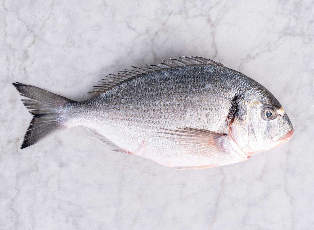 Whole Sea Bream - Fresh Fish Online - Wright Brothers Home Delivery