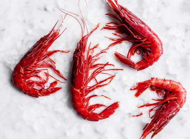 Spanish Carabineros Red Prawns - Fresh Seafood – Wright Brothers Home ...