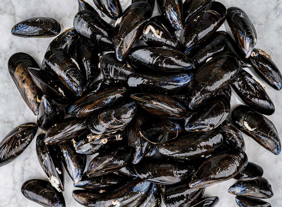 Fresh Live Mussels - Buy Mussels Online - Wright Brothers Home Delivery