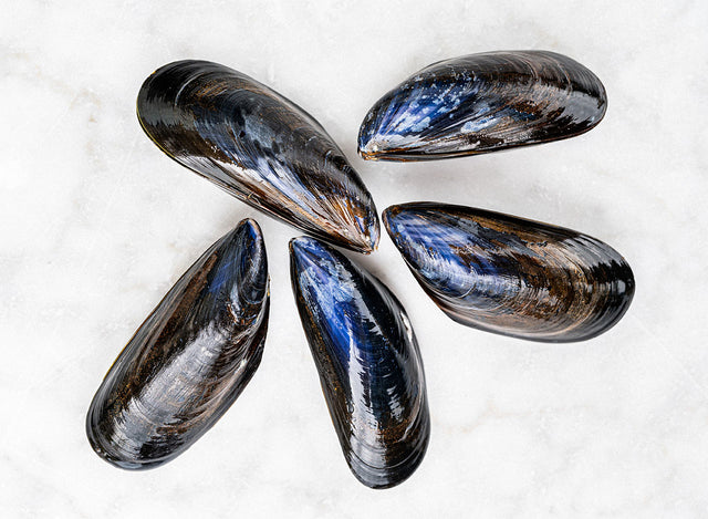 Fresh Live Mussels - Buy Mussels Online - Wright Brothers Home Delivery